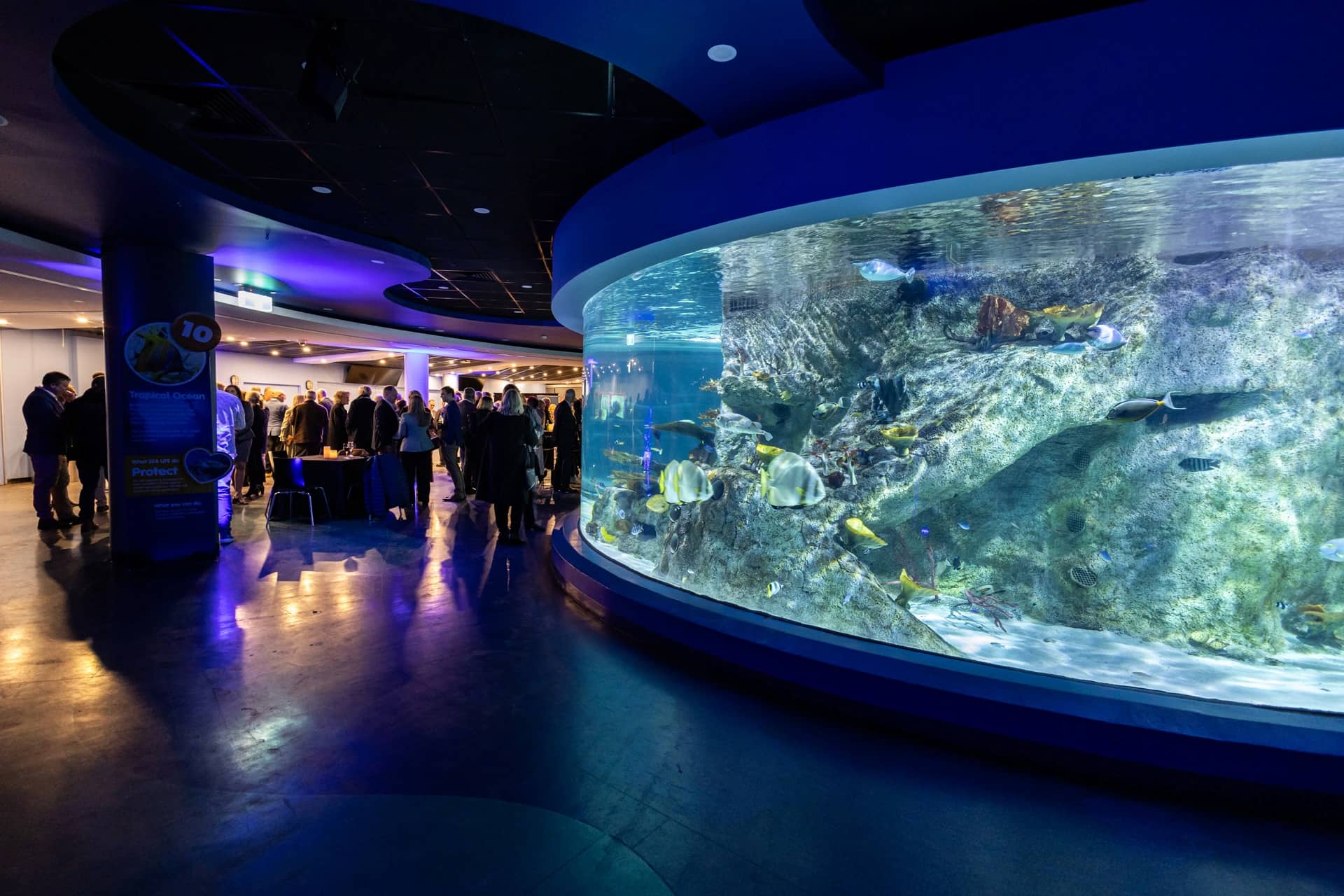 SEA LIFE Melbourne Venue Hire | Showtime Event Group