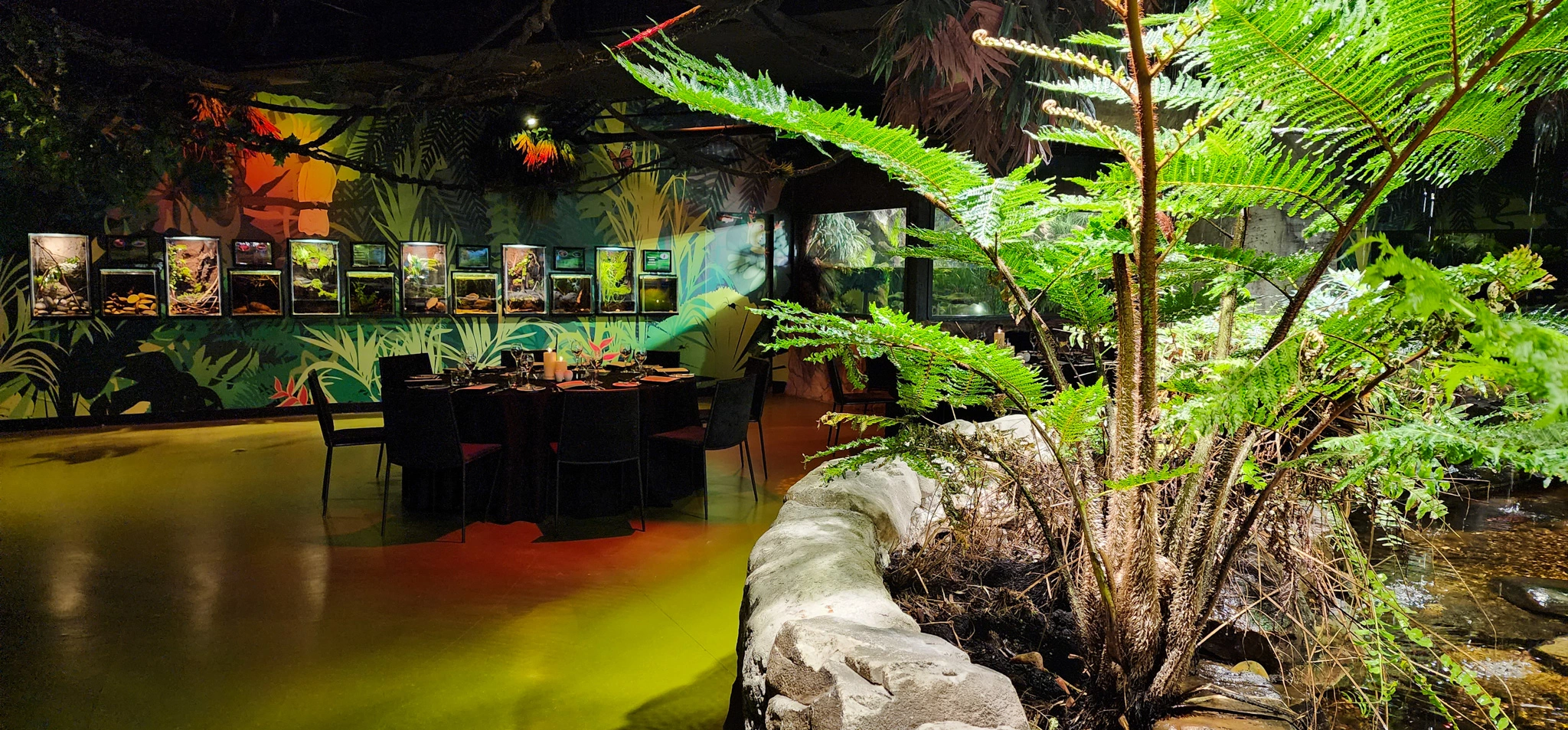 Rainforest Room Venue Hire | Showtime Event Group
