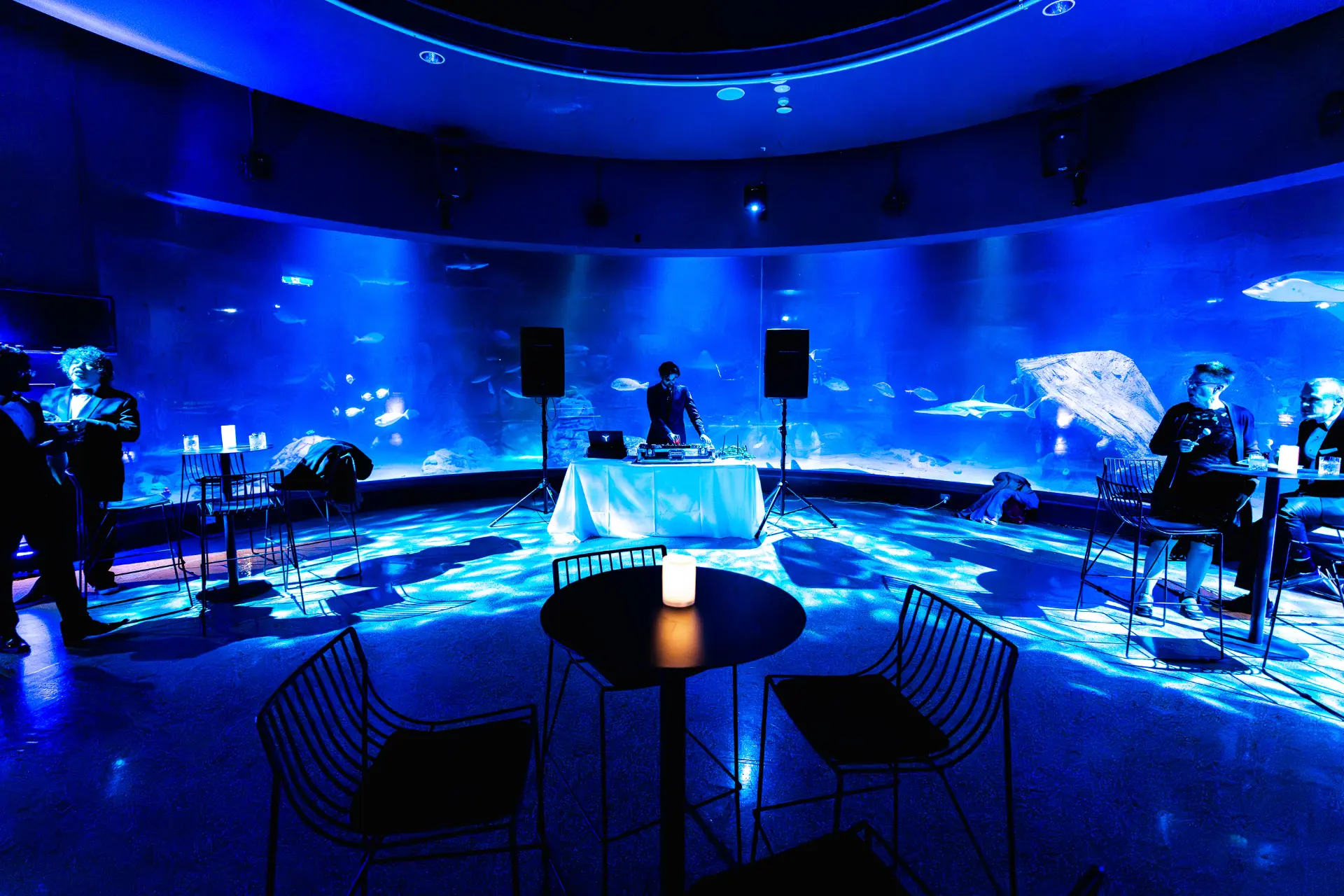 Oceanarium Events & Hire | Showtime Event Group